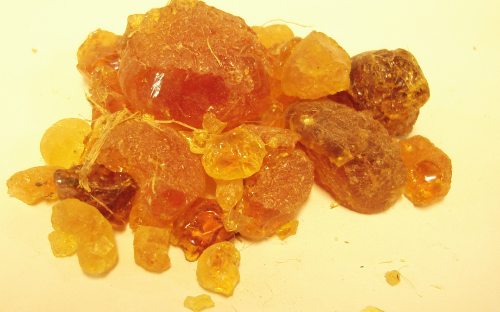 About Tragacanth : Indian food, cooking tips, recipe & secrets